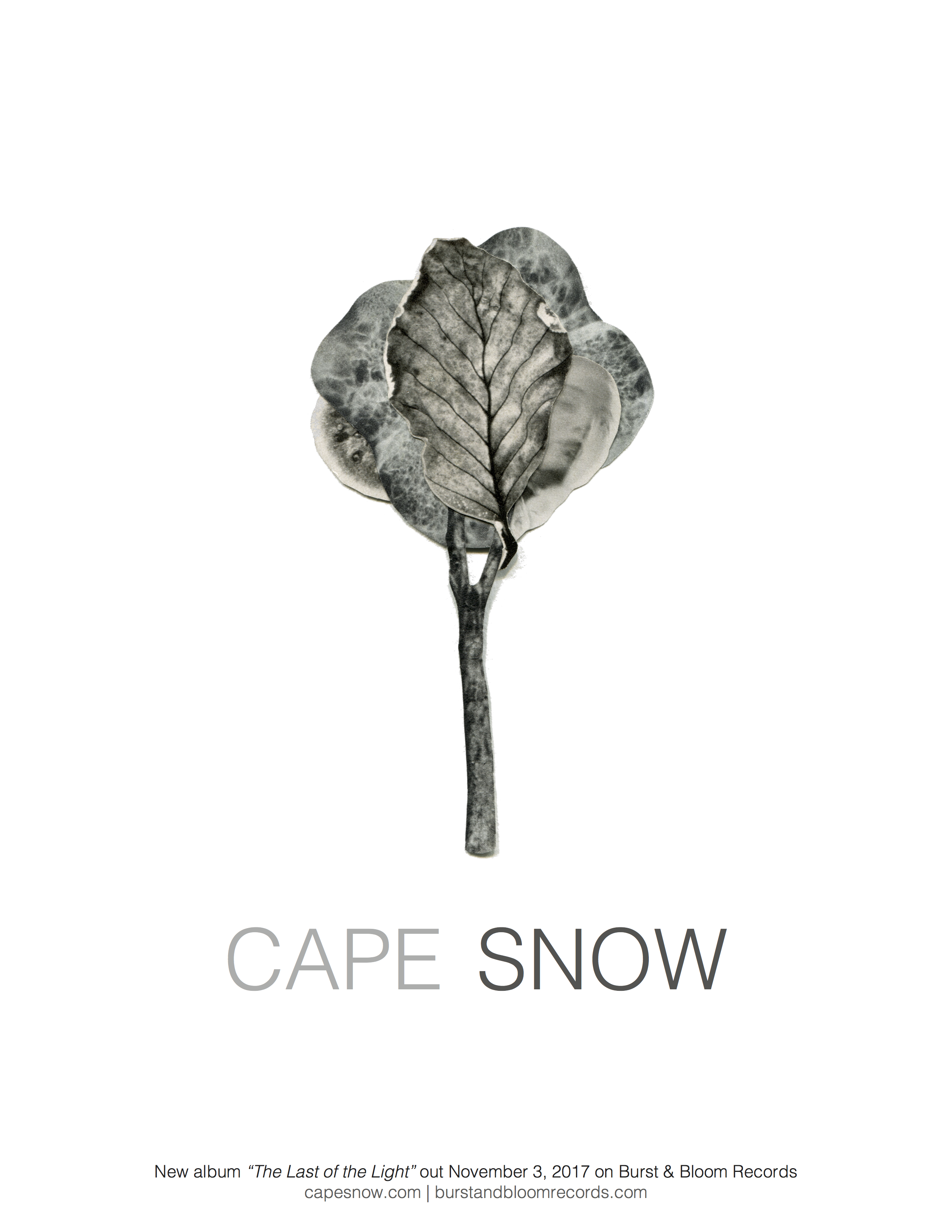 cape snow
